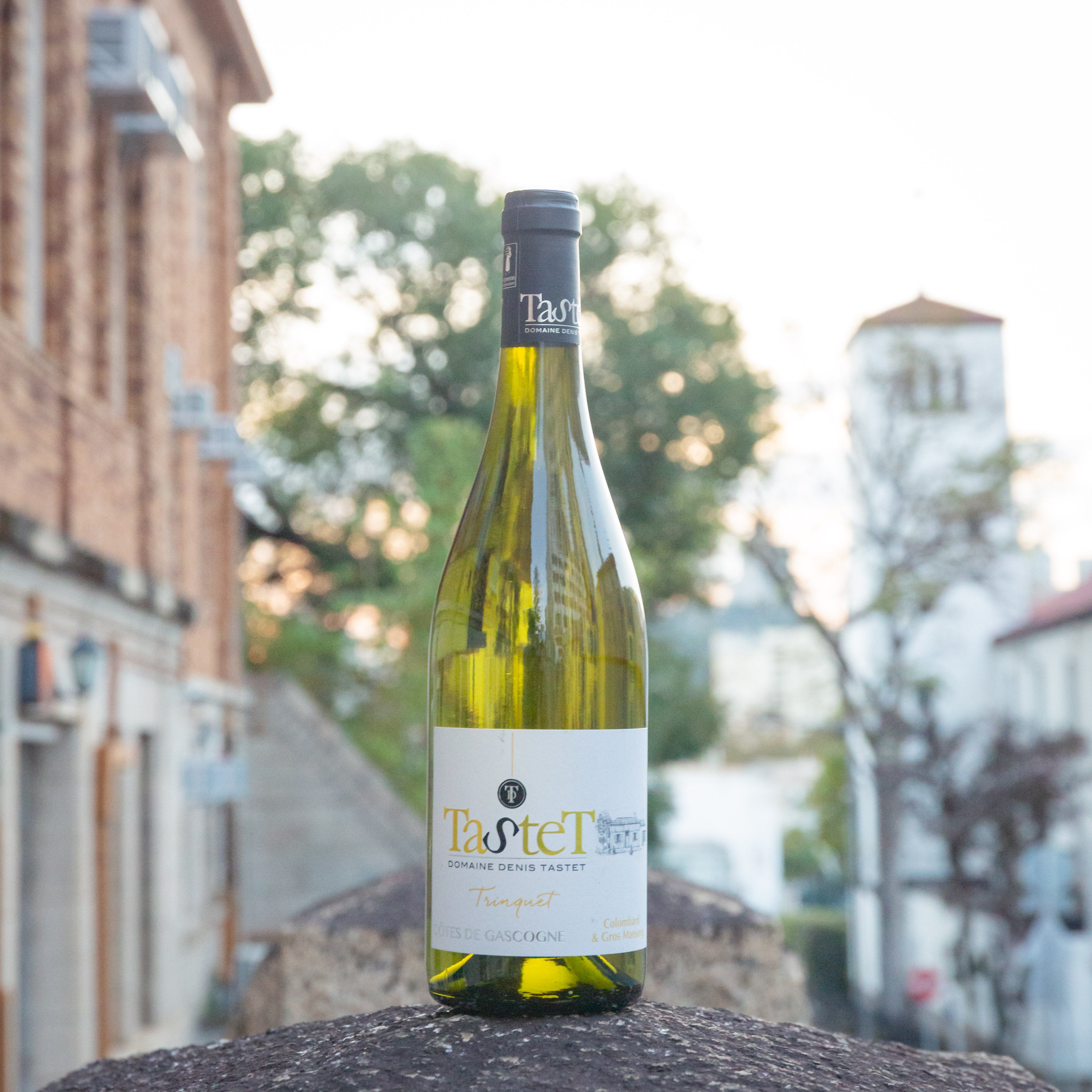 Domaine Denis Tastet – Trinquet 2020 – Grape Matters